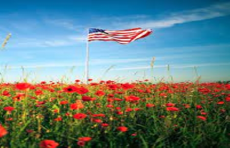 National Poppy Day | Zeiders Enterprises